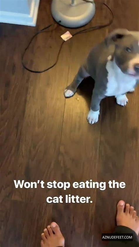 Shellie Sterling Feet Aznudefeet