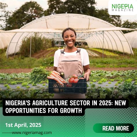 Nigerias Agriculture Sector In 2025 New Opportunities For Growth