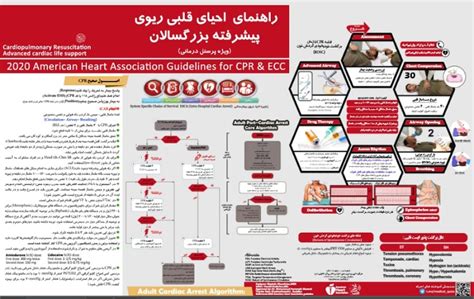 خزید پوستر چاپ شده احیای قلبی ریوی پیشرفته بر اساس گایدلاین Aha 2020 پوستر 2020 Cpr پلات لمینت