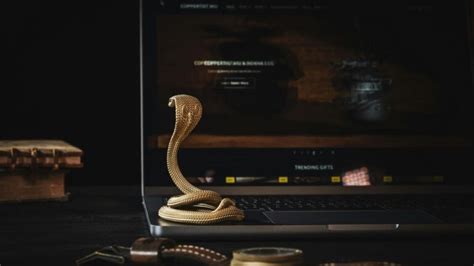 Mastering Python With Freecodecamp A Comprehensive Guide For Beginners
