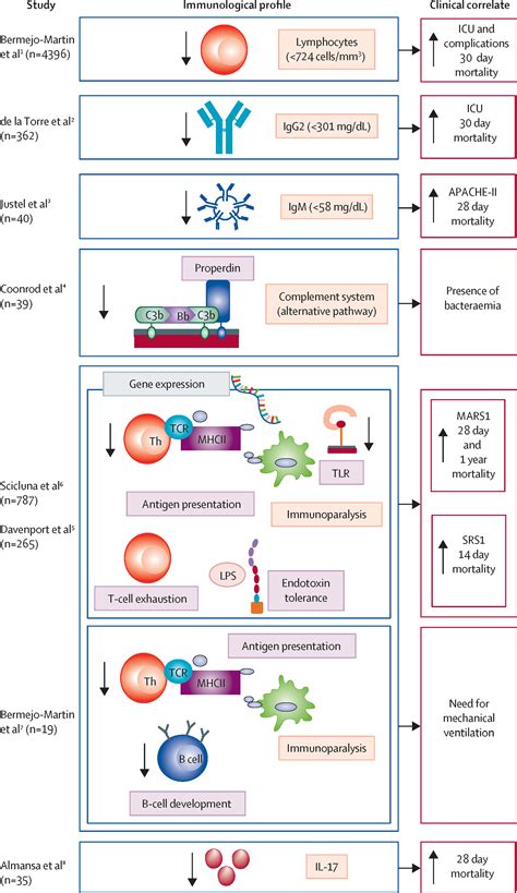 Acquired Immunity Flow Chart