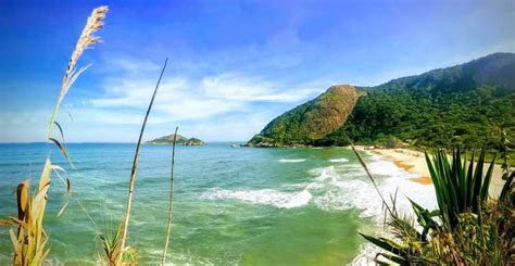 Rio De Janeiro Nature Secrets The Eco Citytour Getyourguide