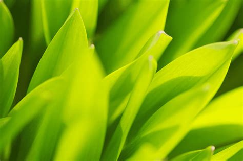 调色盘 在线调色板 配色方案 Canva可画