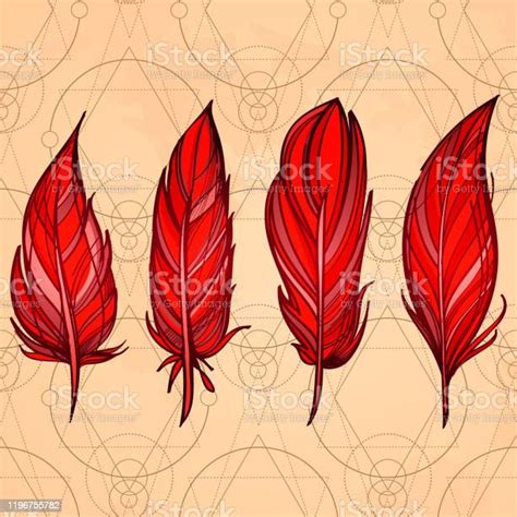 베이지 색 빈티지 배경에 깃털의 손으로 그린 세트입니다 깃털에 대한 스톡 벡터 아트 및 기타 이미지 깃털 날기 문신 Istock