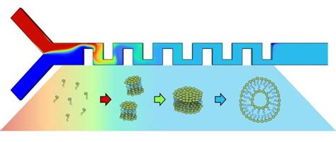 Veryst Engineering Llc On Linkedin Cfd Modeling For Mrna Vaccine