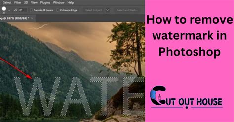 How To Remove Watermark In Photoshop Cut Out House