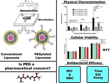 Liposomal Encapsulation Of Amoxicillin Via Microfluidics With Subsequent Investigation Of The