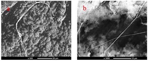The Injected Foaming Study Of Polypropylenemultiwall Carbon Nanotube