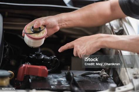 가까이 손을 잡고 연료의 필터 청소 또는 변경 하거나 특정 기간 자동차 유지 보수 서비스 개념 후 트럭의 디젤 연료 필터를 대체 필수적 이다 교통수단에 대한 스톡 사진 및