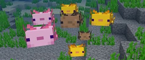 Minecraft 1 17 Snapshot 21w20a Shows Axolotls Some Love Sherpa Land