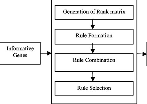 Schematic Diagram Of The Proposed Model Download Scientific Diagram