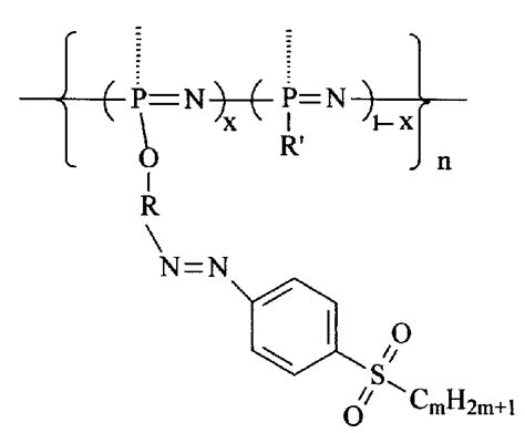 Second Order Non Linear Optical Polyphosphazene Connecting Sulfuryl Azo Chromophor Lateral Group