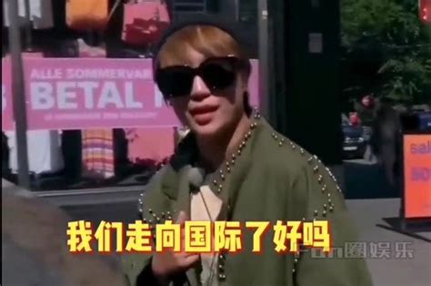 马丽被国外网友认出：马冬梅？马什么梅？马丽没！凤凰网视频凤凰网