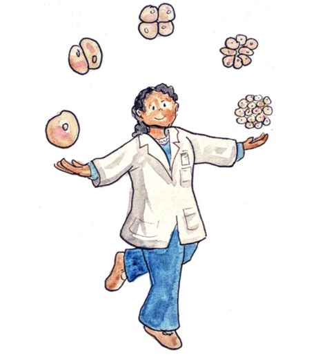 Prop 14 Art Alfred Twu Culver City Democratic Club