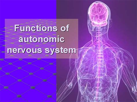 Autonomic Neuropathy Causes Symptoms Diagnosis Treatment