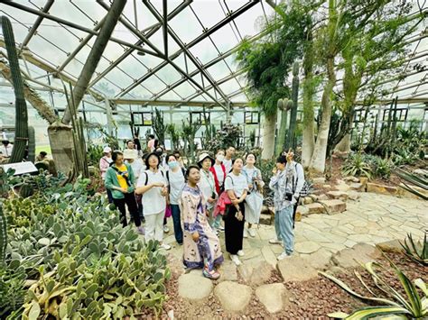 多识草木之名太平语志愿者团队赴南京中山植物园参观学习 新闻资讯 南京市博物总馆