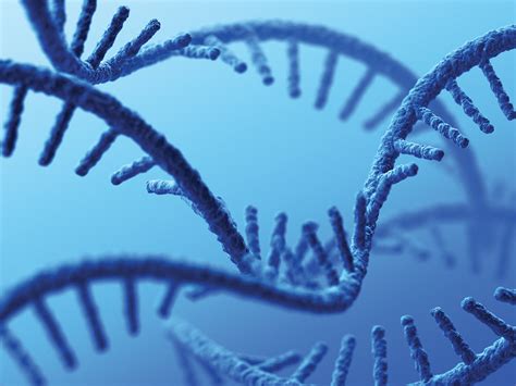 No Other Gods The Institute For Creation Research