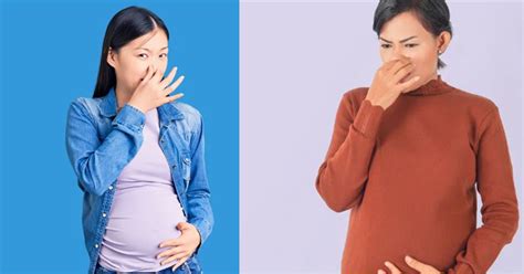 ទឹកនោមមានក្លិនខ្លាំងអំឡុងពេលពពោះ គួរដោះស្រាយបែបណាល្អ Khmerload Cambodia Latest News