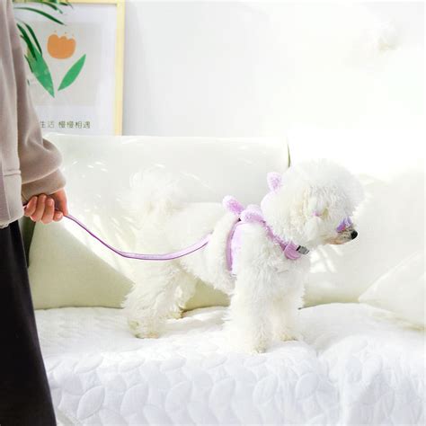 Badu Bg Комплект колан за кучета и каишка в стил жилетка каишка за разходка на куче колан за