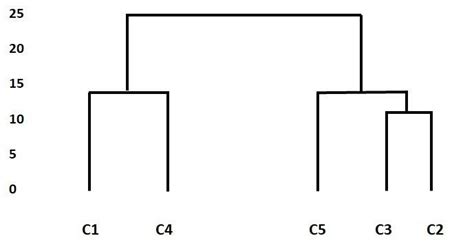 Dendrogram Of The Bottom Up Hierarchical Classification Download