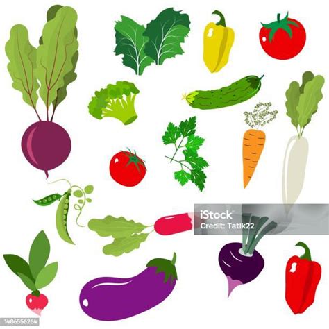 파머스 마켓 포스터 다양 한 신선한 밝은 야채 파머스 마켓 포스터 컬렉션 지역 음식 박람회를 위한 벡터 배너 템플릿입니다 무순에 대한 스톡 벡터 아트 및 기타 이미지