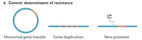 万字长文 Nature Reviews Genetics 研究抗生素耐药性的高通量测序方法与数据库 全文解读 知乎