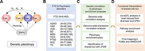 Schematic Overview Of The Analytical Workflow A Illustration Of Download Scientific Diagram
