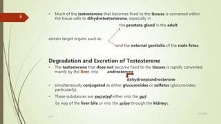Male Sex Hormones PPTX