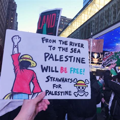 Monkey D Luffy One Piece Real Life Photo Medium Hat Palestine