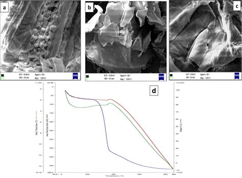 Sem Image Of Cellulose Nanofiber A Cellulose Nanocrystal B Download Scientific Diagram