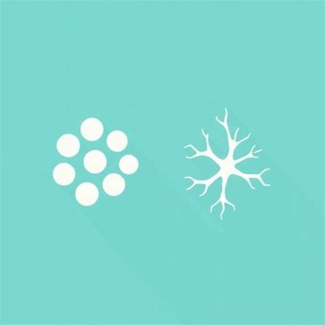 Difference Between Epithelial And Connective Tissue