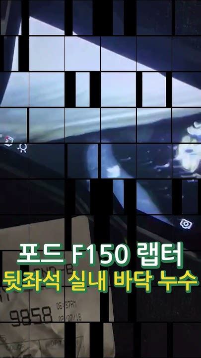 포드 F150 랩터 조수석 뒷좌석 실내 바닥에 생기는 곰팡이 원인은 외부 에서 유입 되는 물 누수 문제랩터누수f150누수