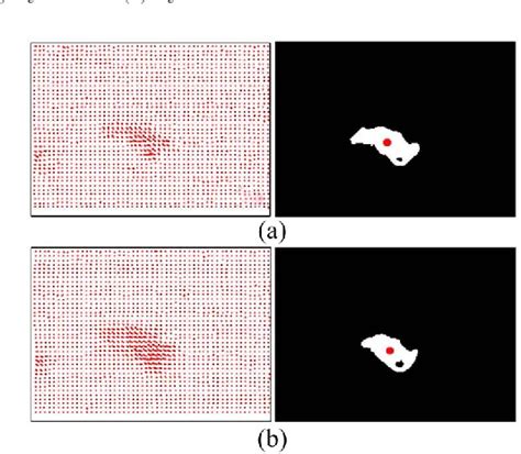 Figure 1 From Dynamic Illumination Optical Flow Computing For Sensing