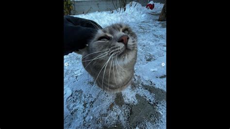 Wasdwasdwasd Youtube