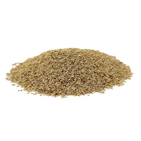 Hancocks Common Bermuda Grass Seed Coated And Unhulled