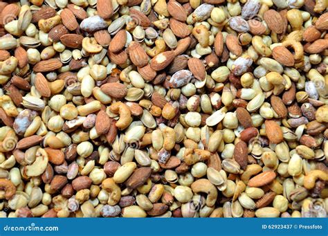 Assorted Nuts Stock Image Image Of Assortment Close 62923437 Assorted Nuts Stock Image Image Of Assortment Close 62923437