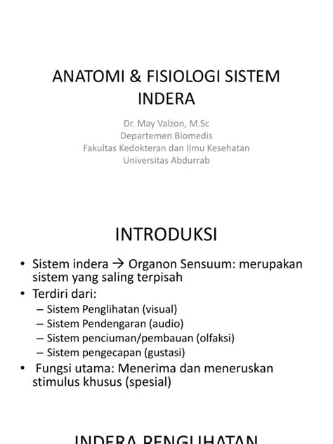 Anatomi And Fisiologi Sistem Indera Pdf