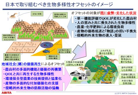 望ましい「生物多様性オフセット」のあり方とは？～生物多様性とsdgs④～ 環境・csr・サステナビリティ戦略に役立つ情報サイト おしえて！アミタさん