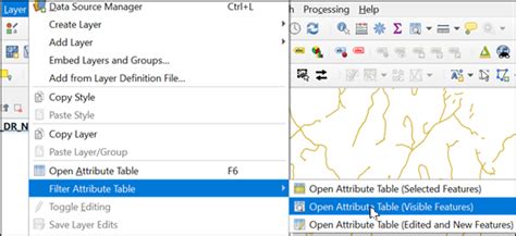 Fields Attributes Download A Small Part Of A Wfs Map In Qgis