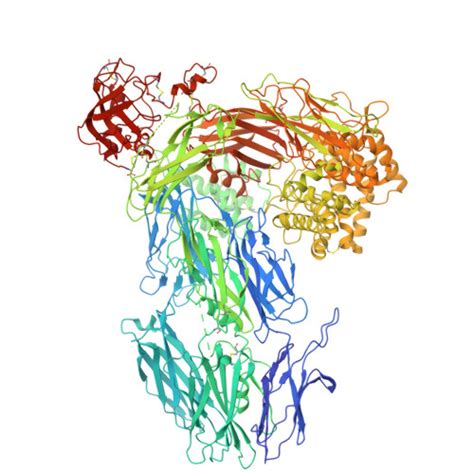 Gene P01031 Protein C5 Overview CanSAR Ai