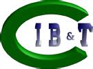 IB Consulting And Technologies