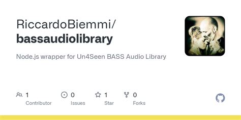 GitHub RiccardoBiemmi Bassaudiolibrary Node Js Wrapper For Un Seen BASS Audio Library