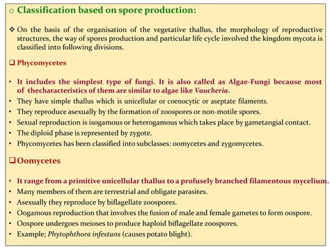 Classification Of Fungi Docx