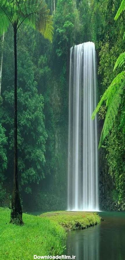 عکس صفحه گوشی طبیعت زیبا