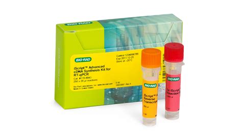 IScript Advanced CDNA Synthesis Kit For RT QPCR Bio Rad