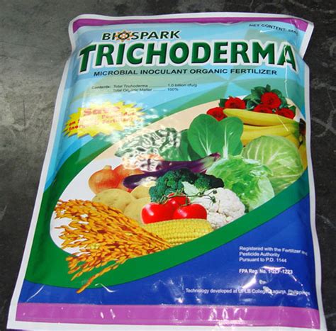 Trichoderma The Fighting Fungus Ipm Innovation Lab