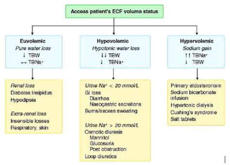 Hypernatremia Definition Symptoms Causes Correction Treatment 2018 Updated