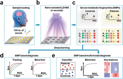 Overall Schematics For Extraction Of Serum Metabolic Fingerprints Download Scientific Diagram