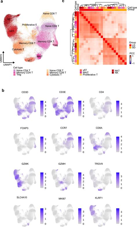 Sub Clustering Analysis On T And Nk Cells A Umap Projection Of T And Nk Download Scientific
