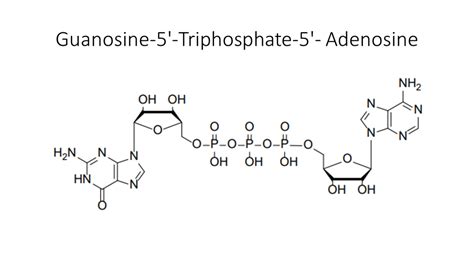 Guanosine 5′ Triphosphate 5′ Adenosine Akonscientific